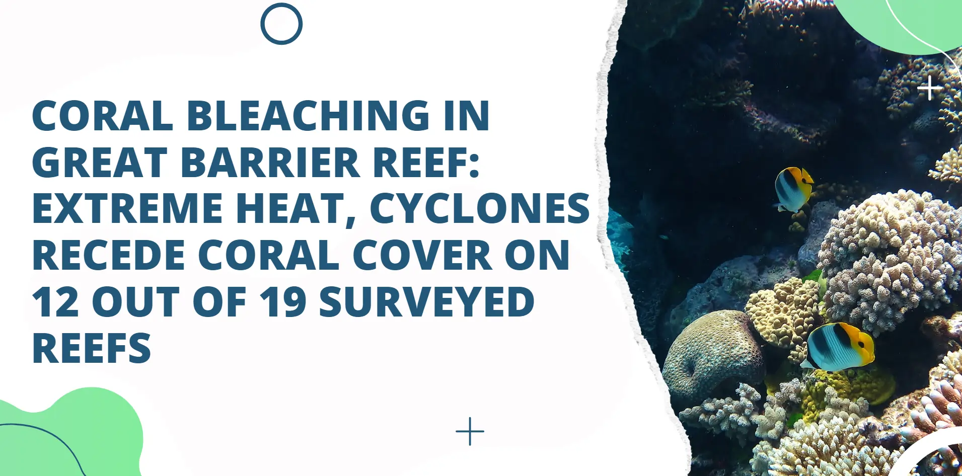 Coral bleaching in Great Barrier Reef: Extreme heat, cyclones recede ...