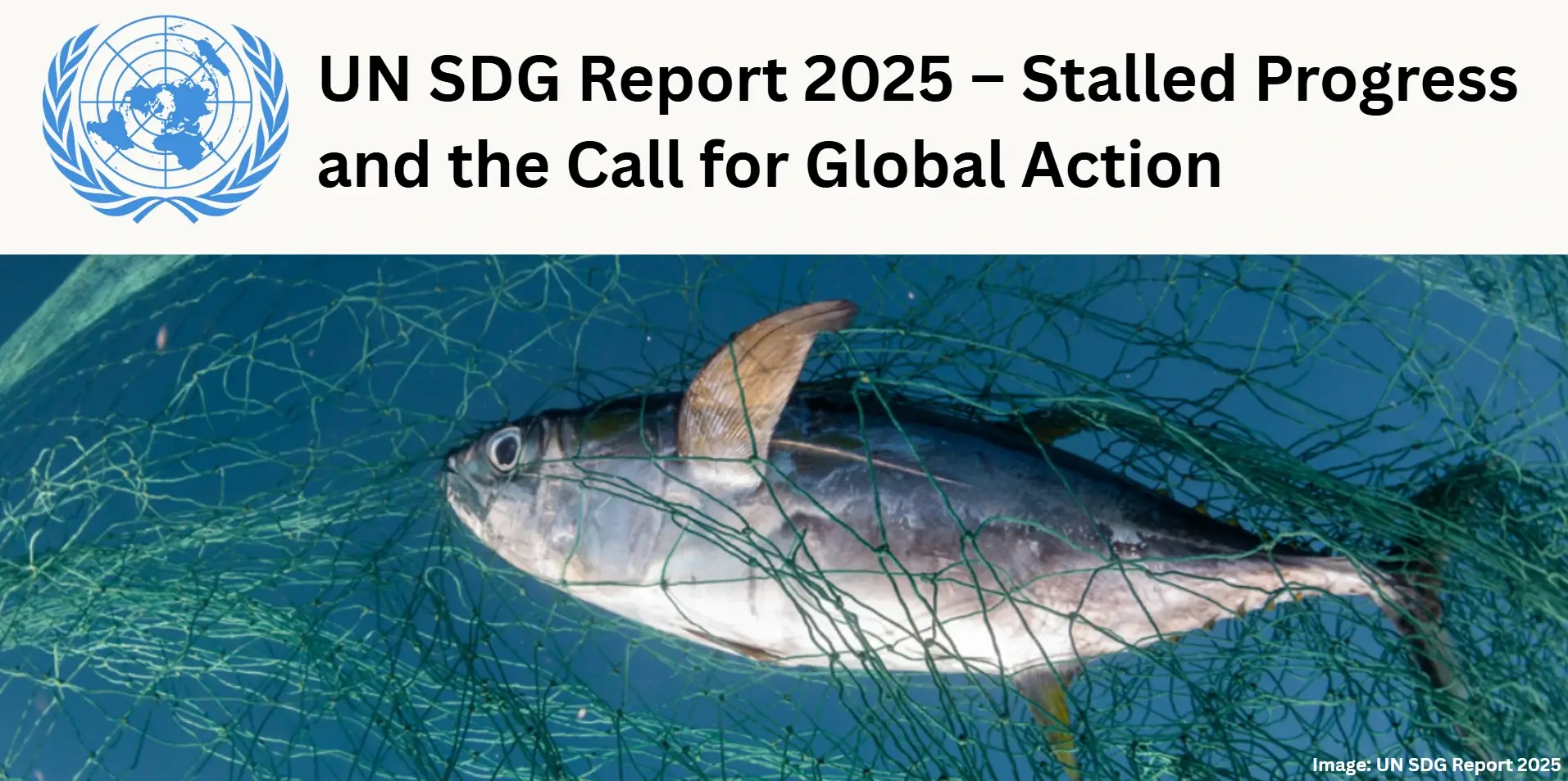 2025 UN SDG Report: Progress at Risk – Time for Bold Global Action 2025